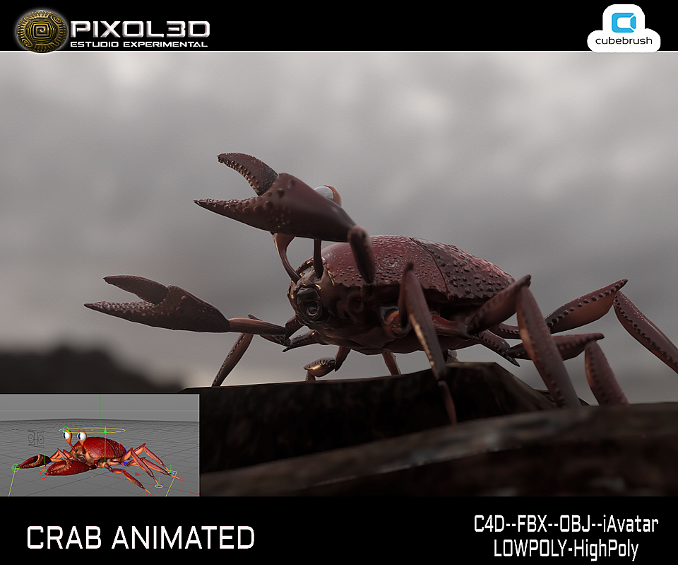 Crab animated