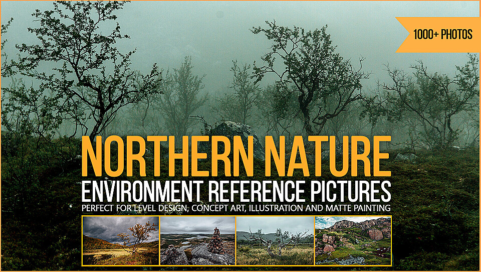 1000+ Northern Nature Reference Pictures