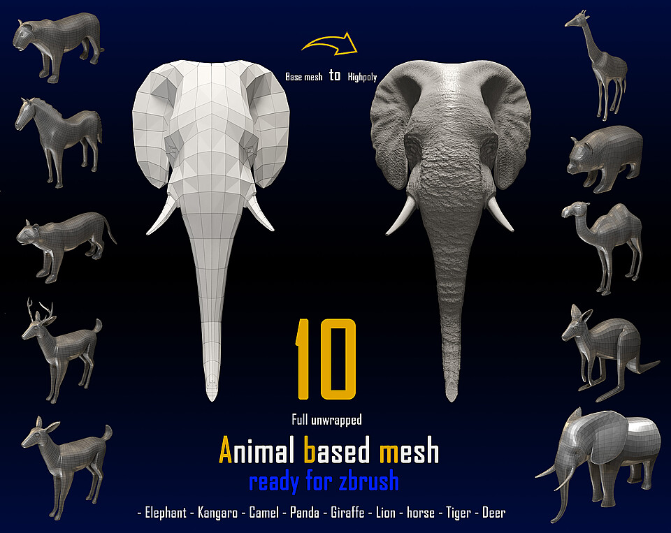 10 type of Animal basemesh