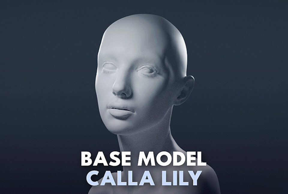 Calla Lily Base Model