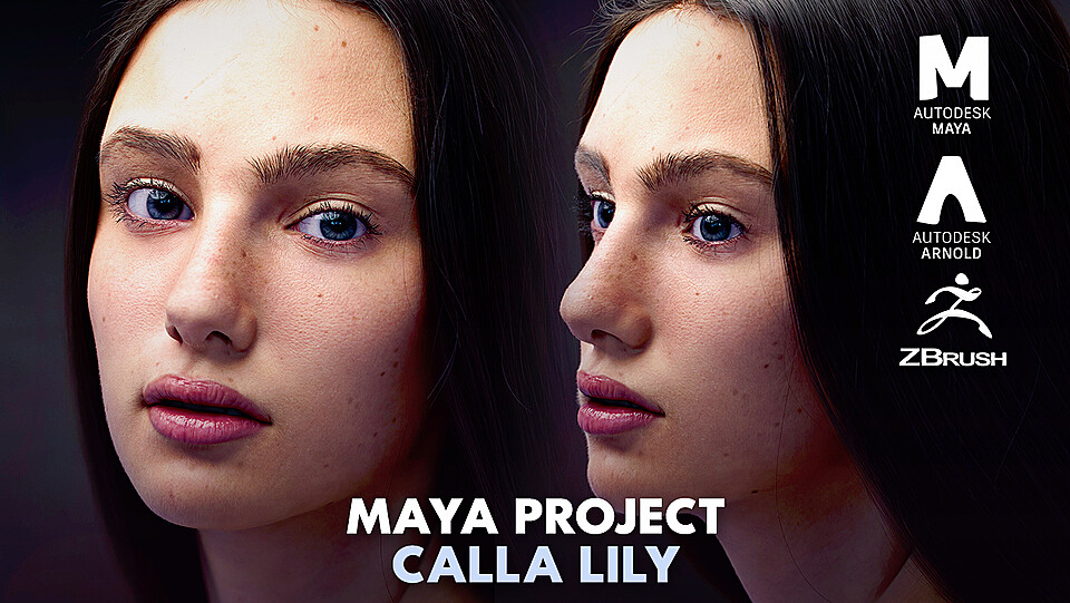 Calla Lily Maya Project