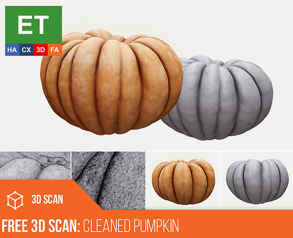 FREE Cleaned Pumpkin 3D Scan