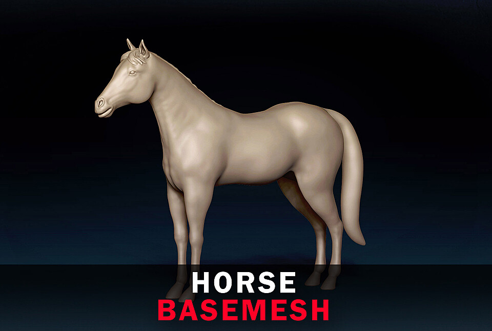 Horse Base Mesh 3D Model