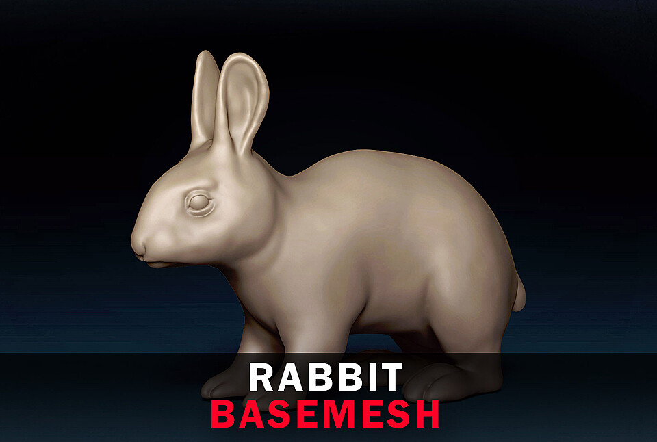 Rabbit Base Mesh 3D Model