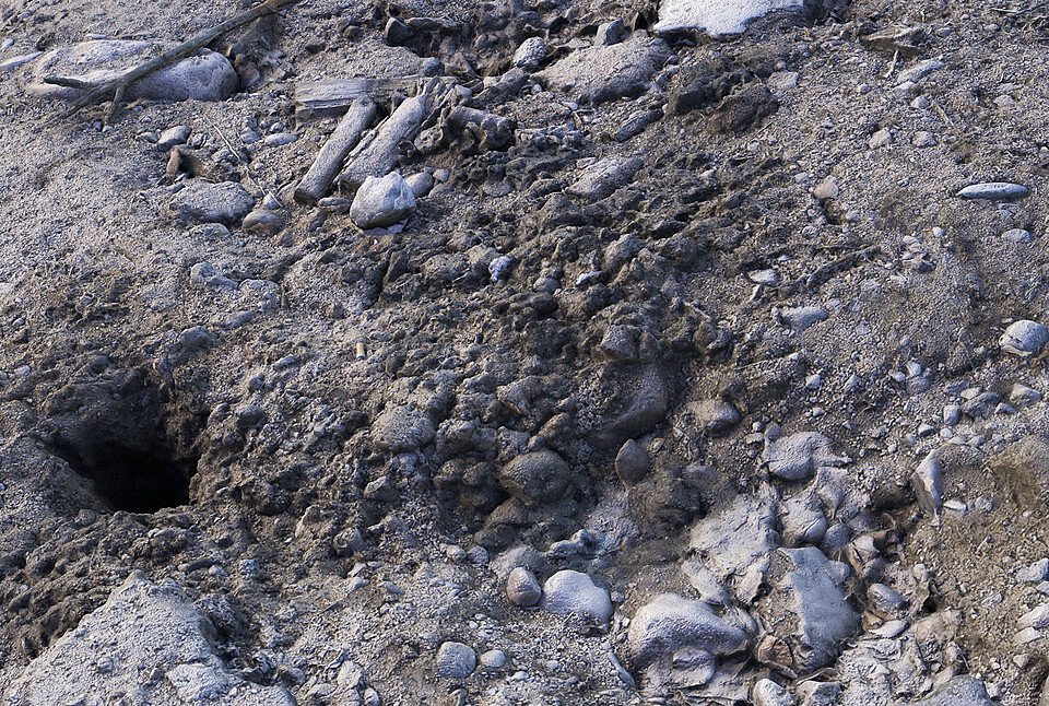 PBR Trash Ground - 8K Textures