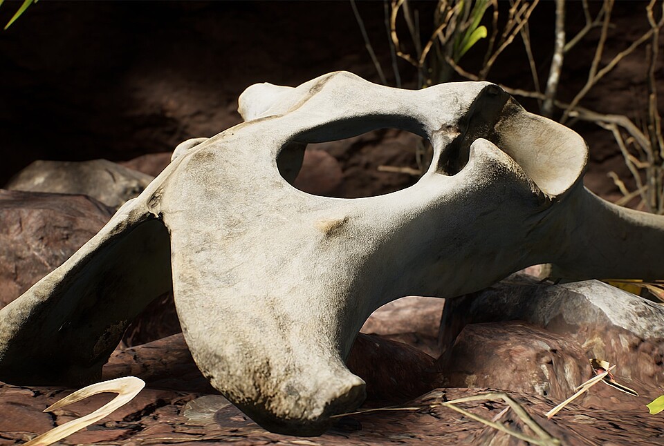 Dry Animal Bones - Photoscan Vol 2. [UE4][Unity]
