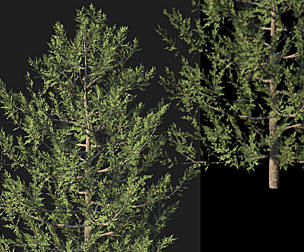 QUICK GHIBLI&ANIME TREE TOOL IN BLENDER