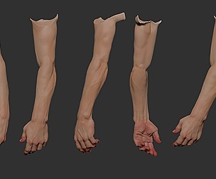 Procreate 3d Model - Right Arm male