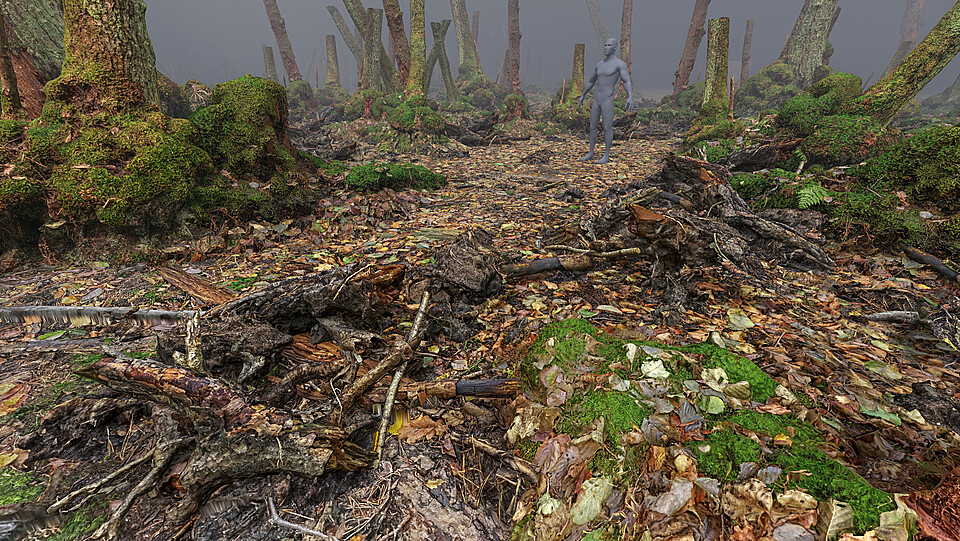 Mossy Tree Collection - Processed Scans PBR 4K