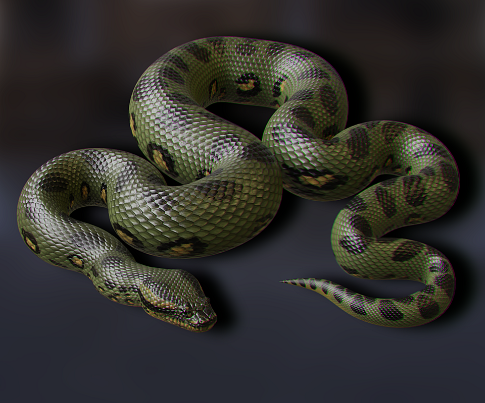 Green Anaconda - Animated