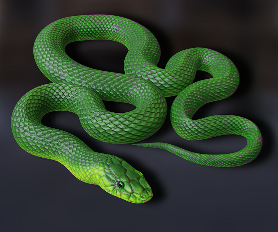Green Mamba - Animated