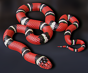 Zero-Gravity Scene for Stunning Visuals