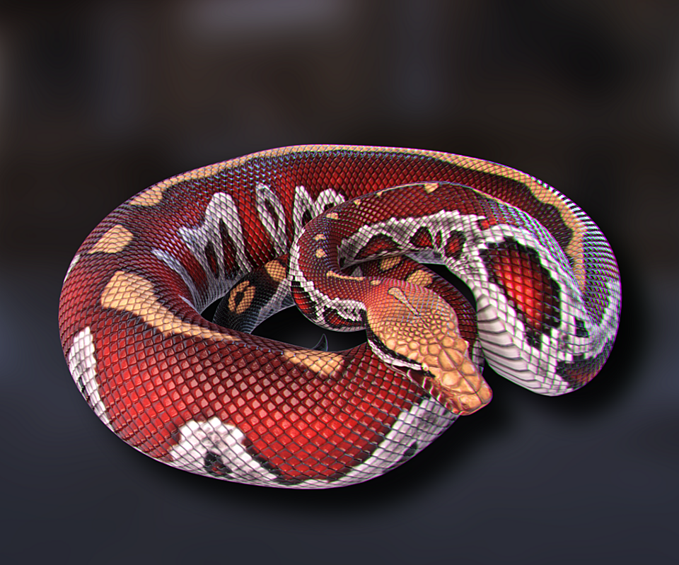 Blood Python - Animated