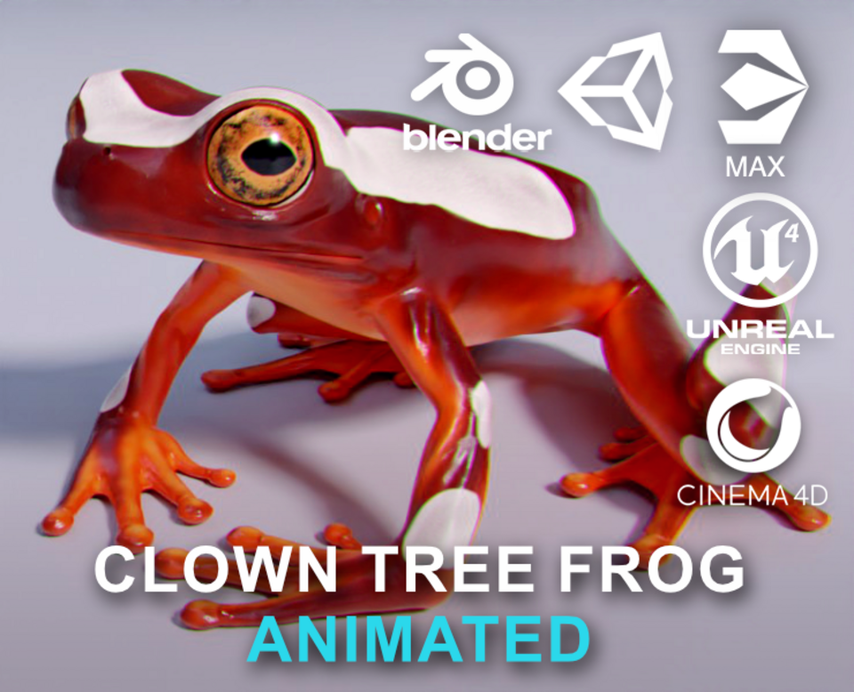 Clown Tree Frog - Animated