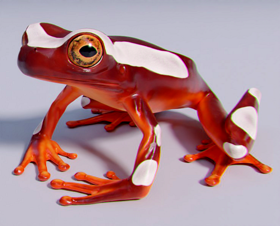 Clown Tree Frog - Animated