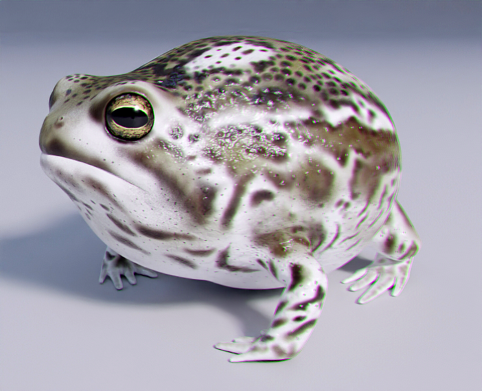 Desert Rain Frog - Animated