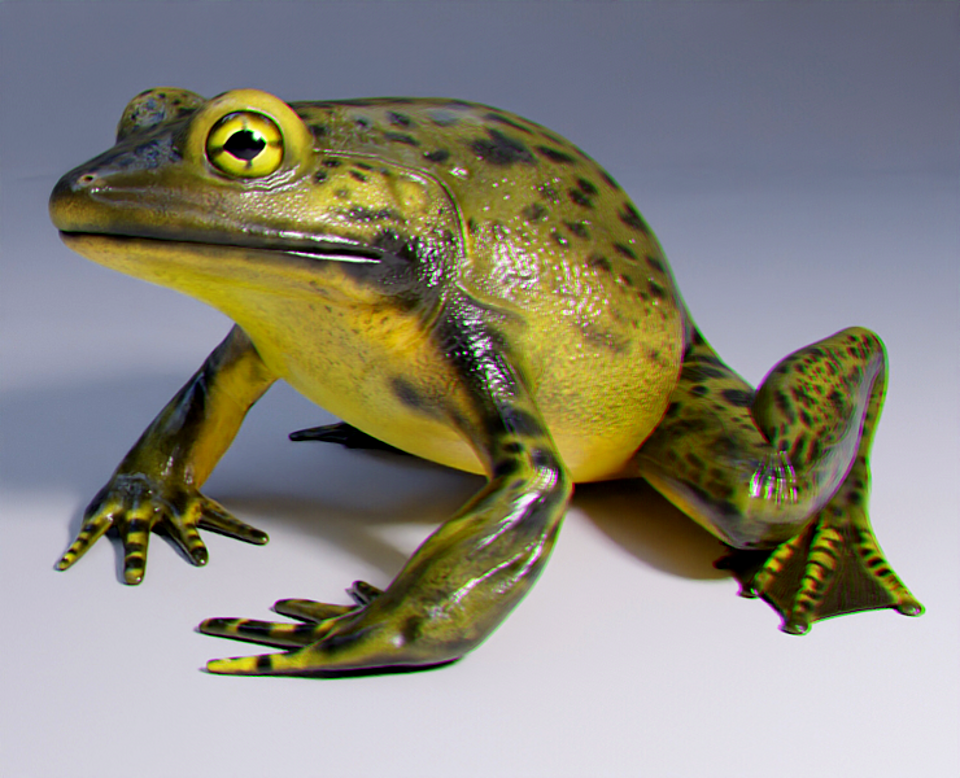 Goliath Bullfrog - Animated
