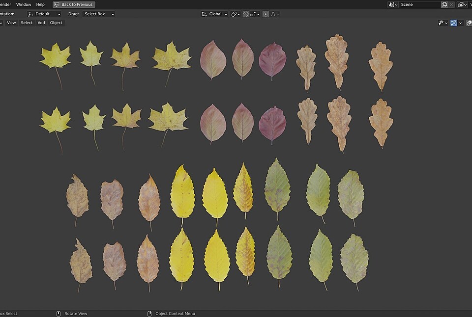 Fall Autumn Leaves Pack