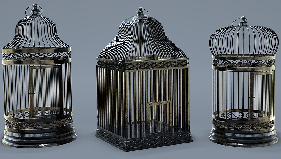 Bird cage Collection