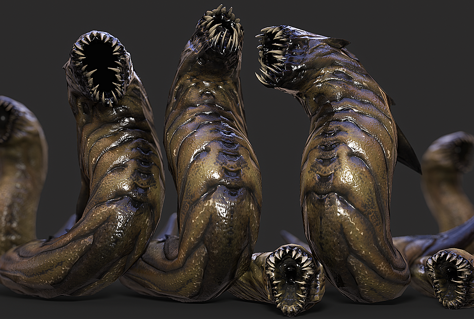 Slimy Worms Collection