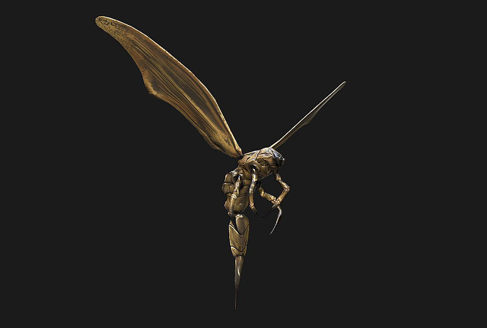 Small Angry Wasp