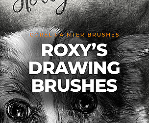 RAZUM_INC PRO FOR INFINITE PAINTER