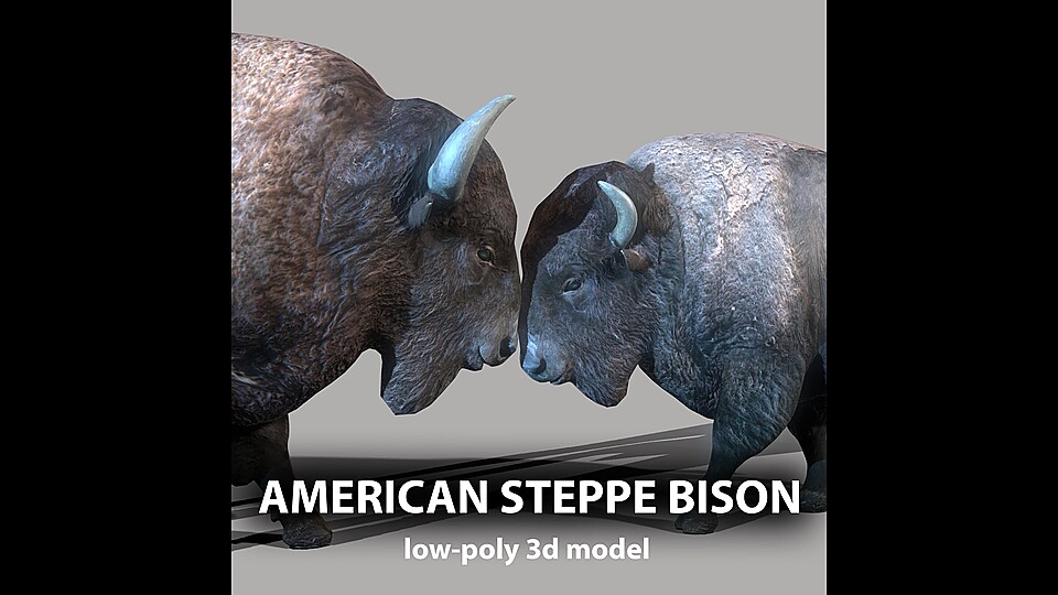AMERICAN STEPPE BISON Low-poly 3D model
