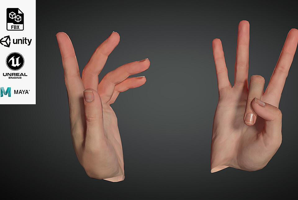 Realistic Hand VR Low poly