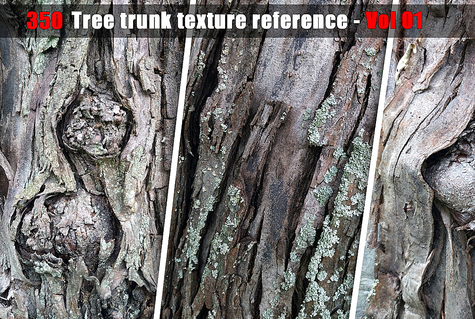 Tree trunk texture reference - Vol 01