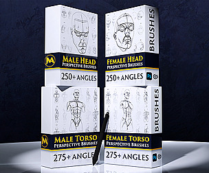 Perspective Tools v2