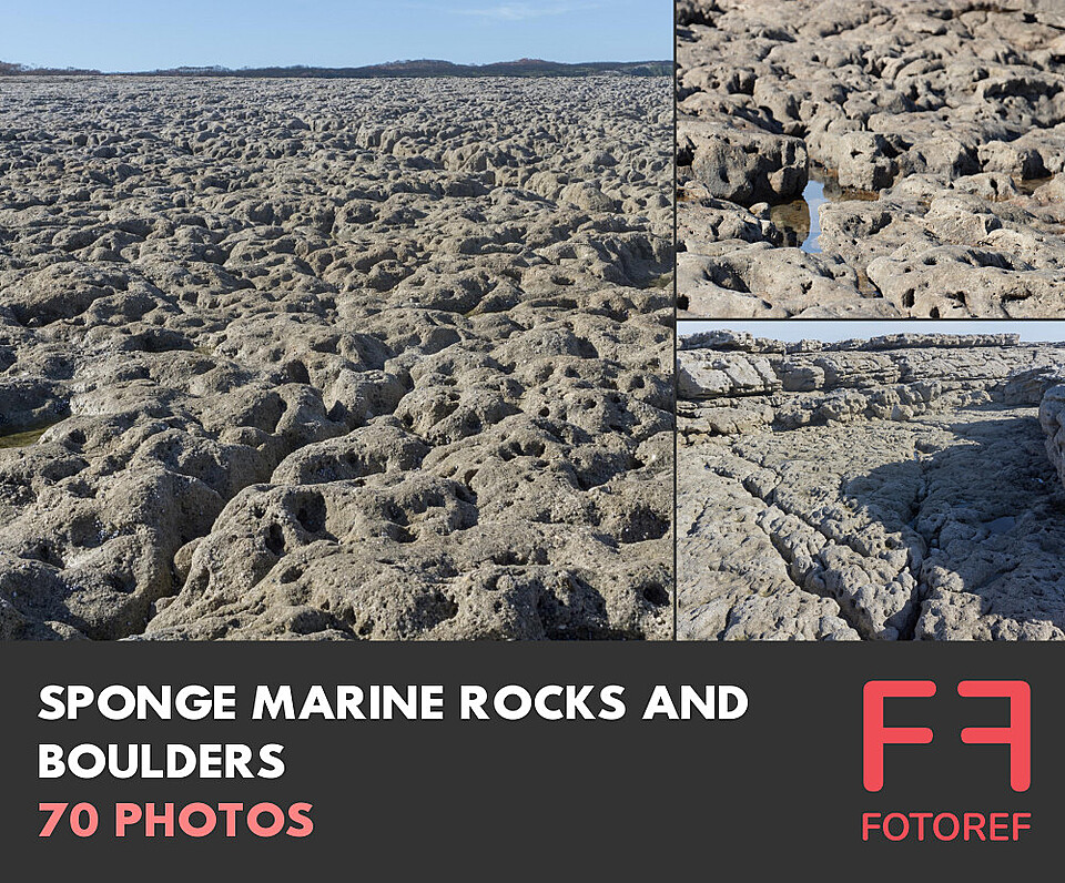 70 photos of Sponge Marine Rocks and Boulders