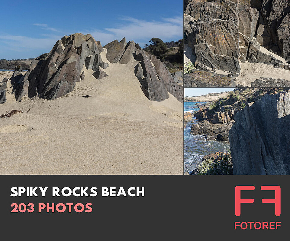 203 photos of Spiky Rocks Beach