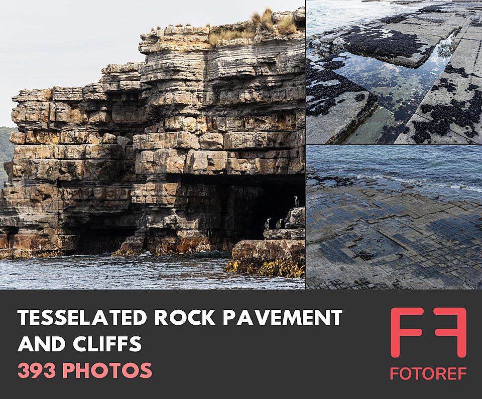 393 photos of Tesselated Rock Pavement and Cliffs