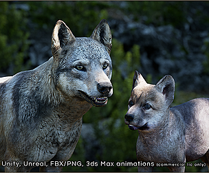 Realistic Wolf Maya Rig
