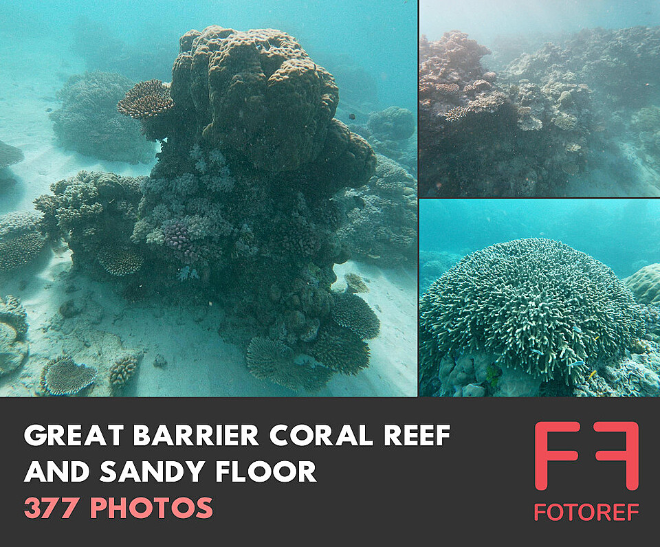 Great Barrier Coral Reef and Sandy Floor