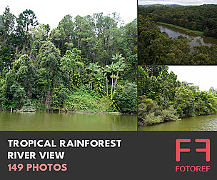 440+ Epic Rainforest Reference Pictures