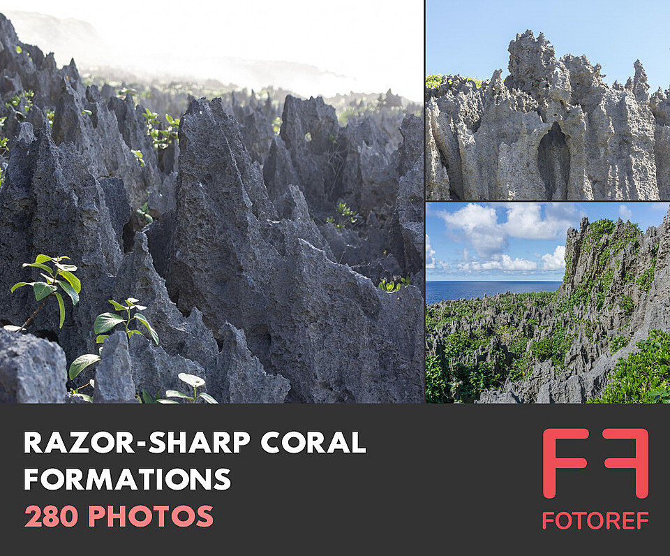 280 photos of Razor-Sharp Coral Formations