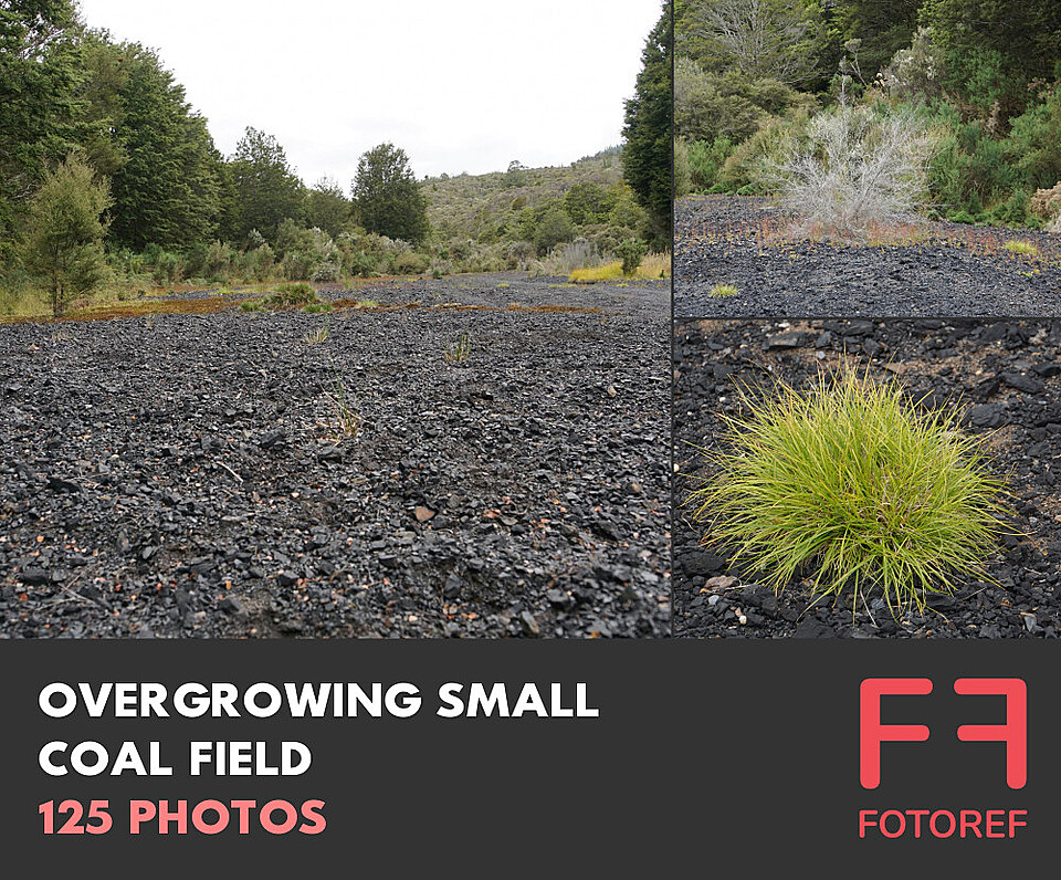 125 photos of Overgrowing Small Coal Field