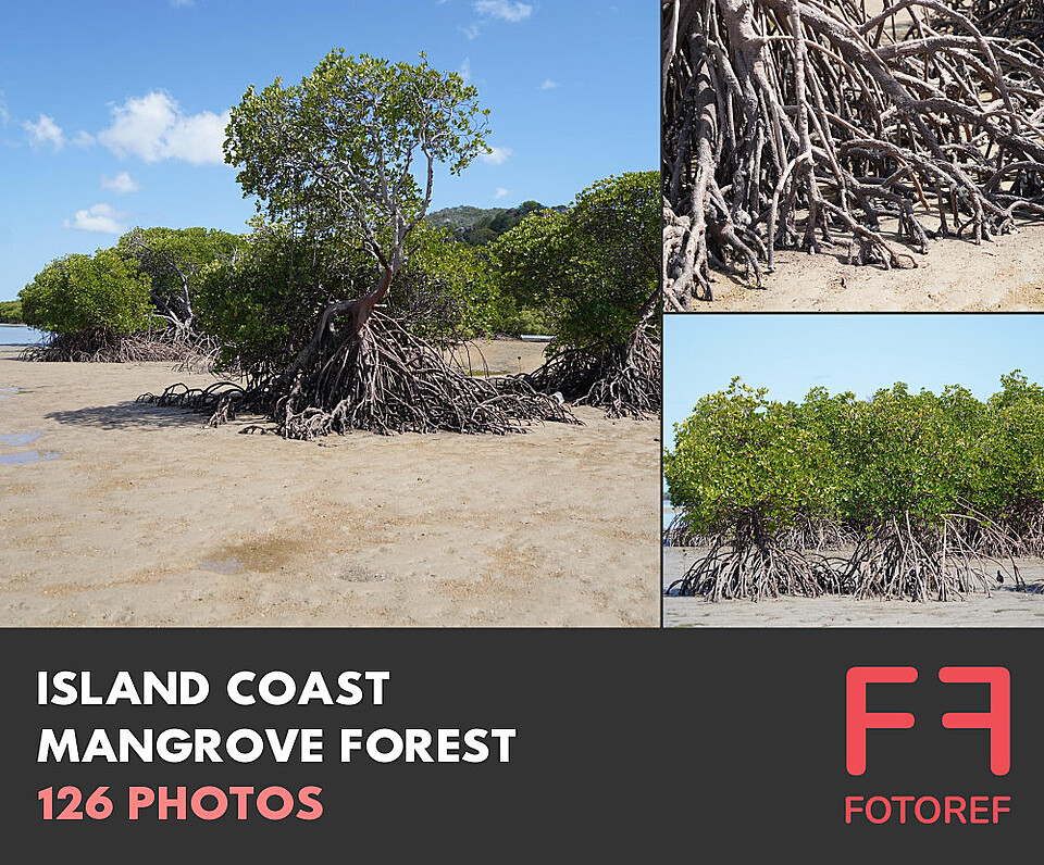 126 photos of Island Coast Mangrove Forest