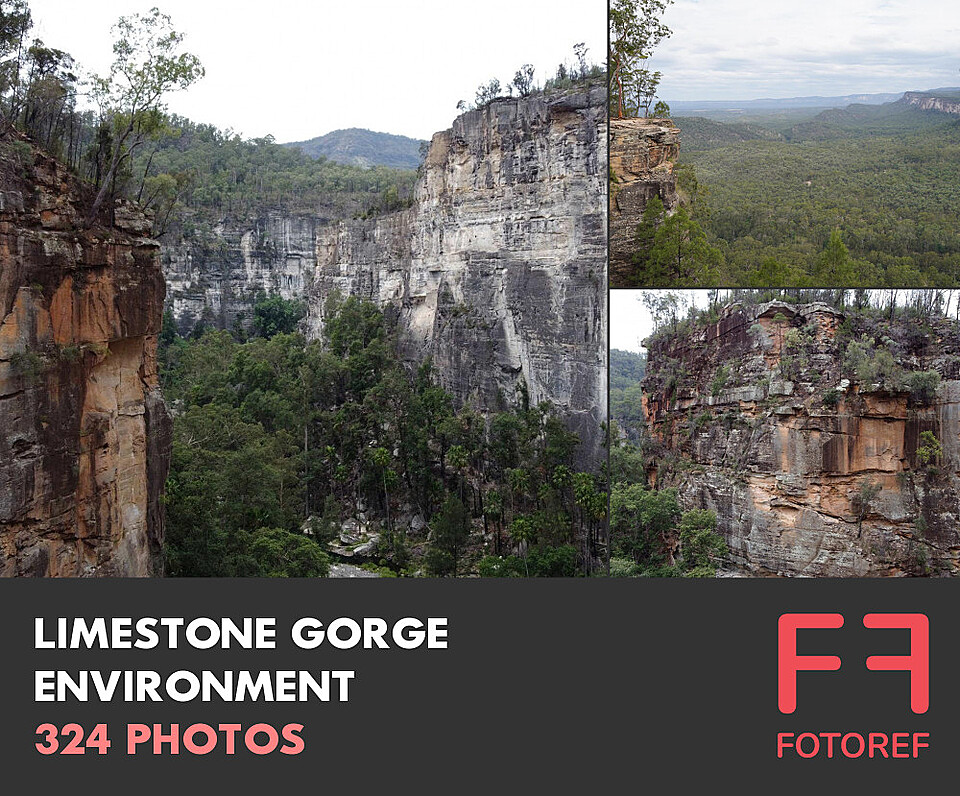 324 photos of Limestone Gorge Environment