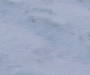 Snow reference part 2