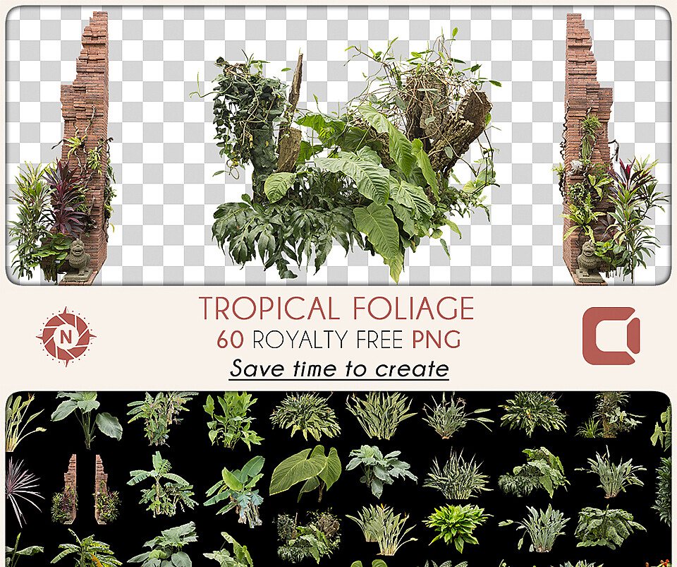 Tropical Foliage - PNG Photo Pack