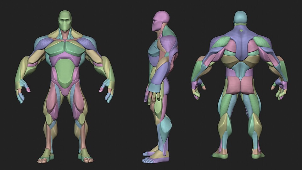 Stylized Hero Anatomy
