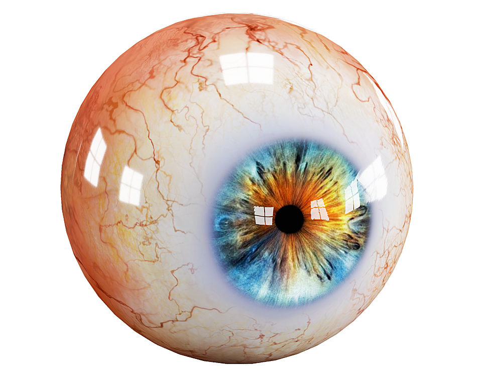 Eyes pack Low-poly 3D model