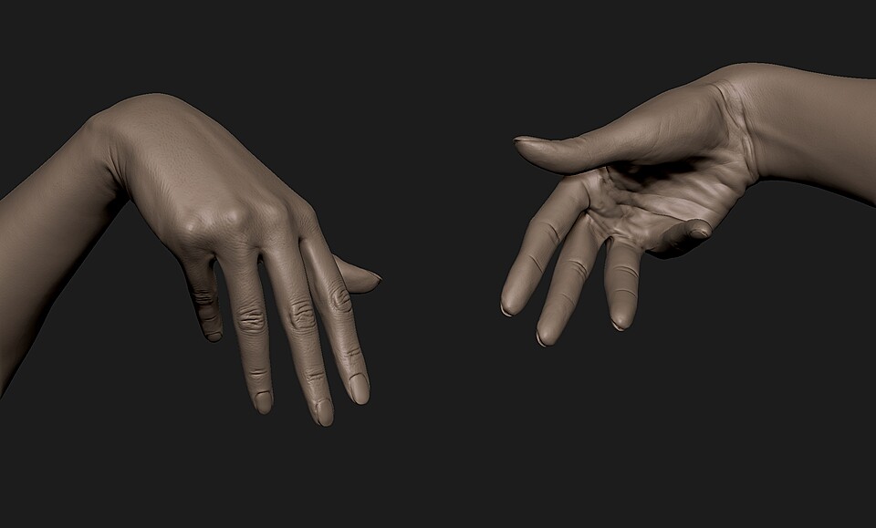 Realistic female hand 5