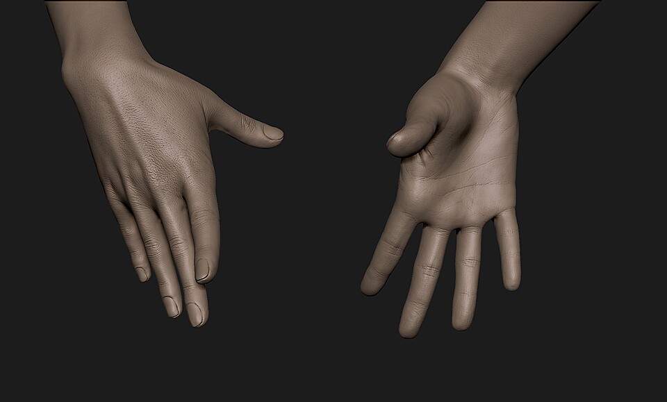 Realistic female hand 9