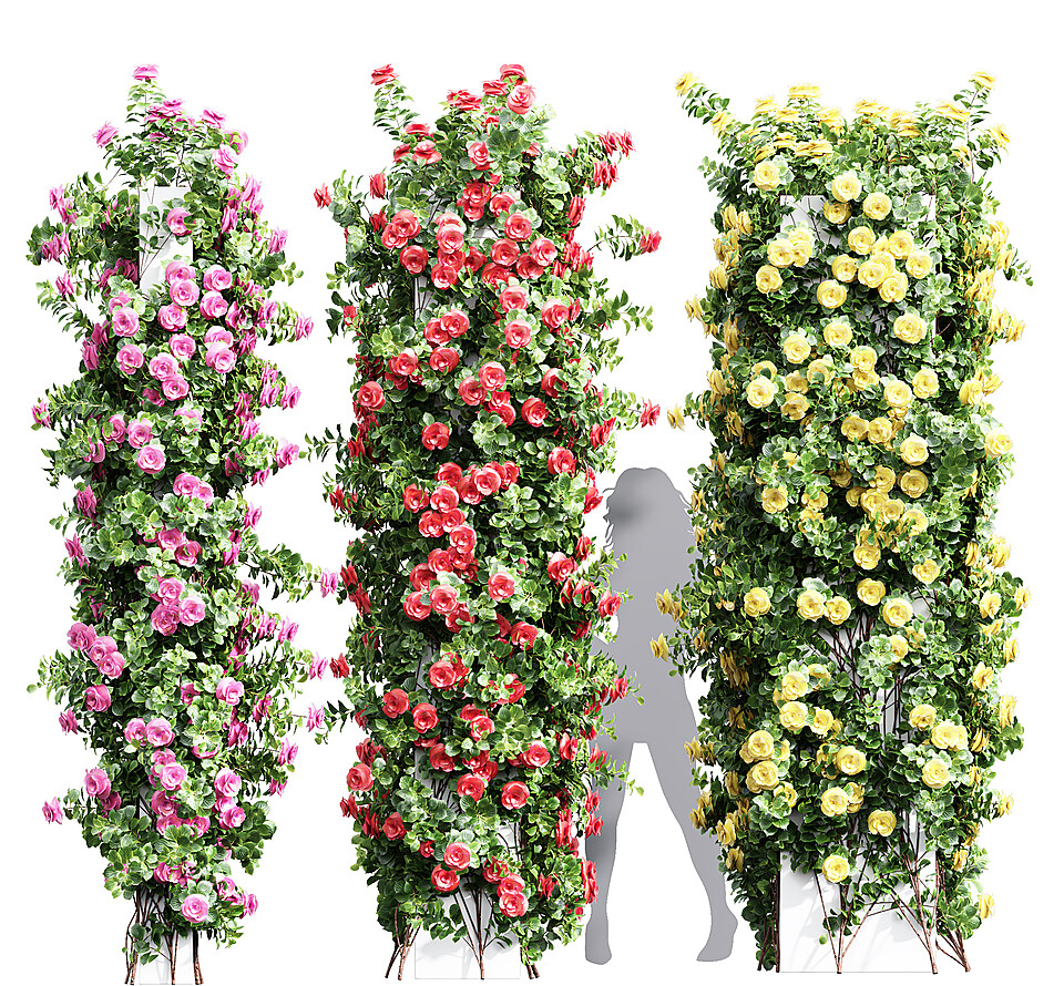 Climbing Roses Cube Columns