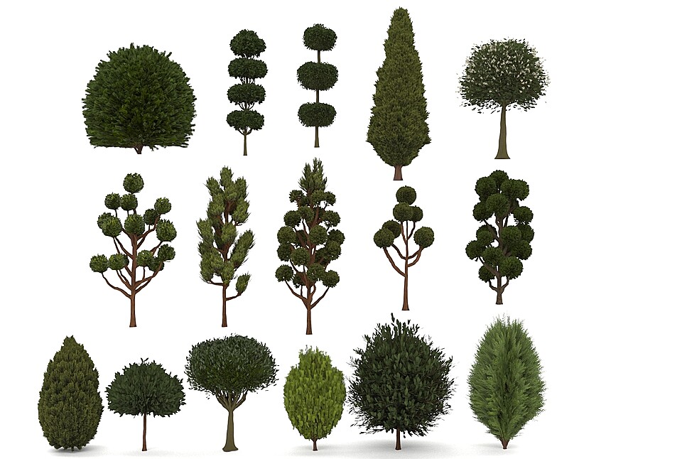 A set of 16 trees