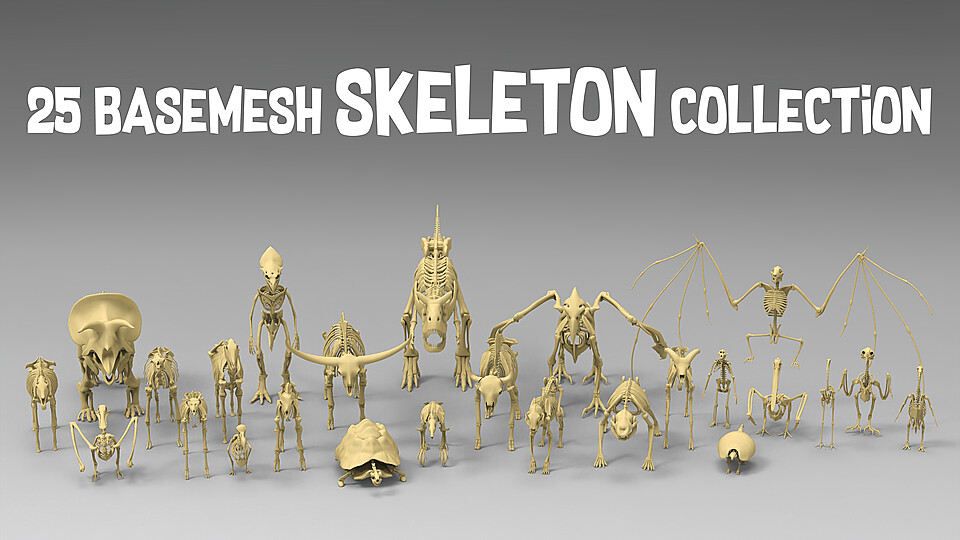 25 basemesh sketelon collection