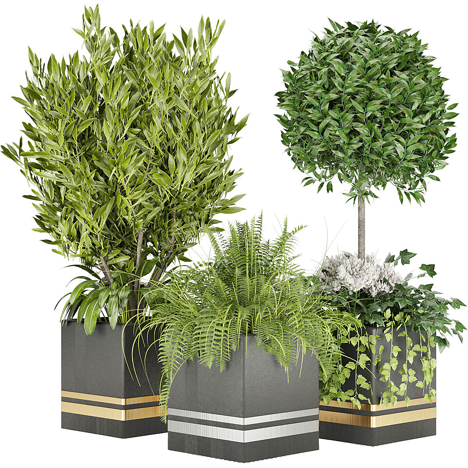 Collection plant vol 31 - leaf - ble - 3ds - c4d